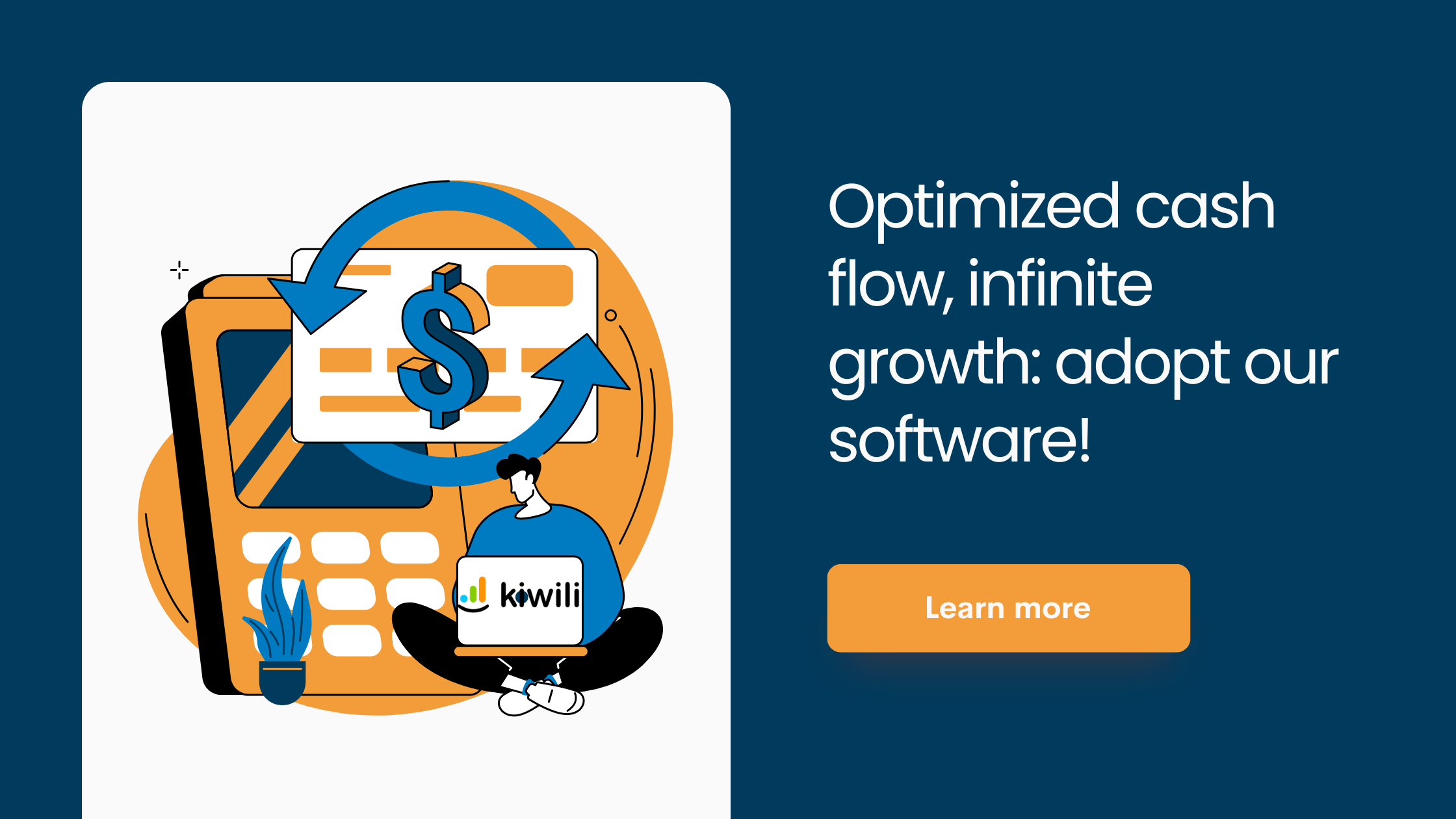 Cash flow management and budgeting software